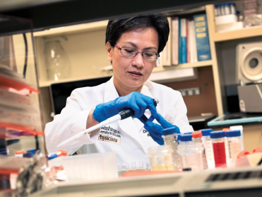 Lab-grown cartilage - Outlook Magazine
