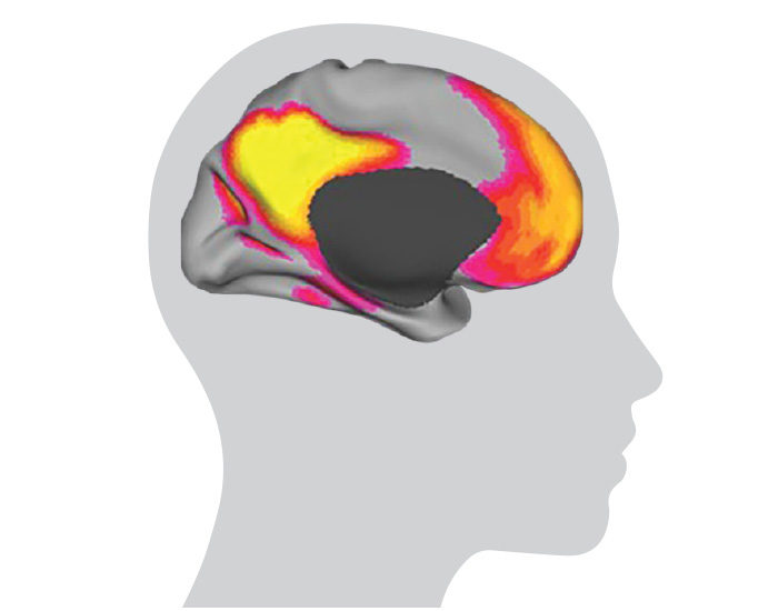 Pioneering neurologist explores the mind’s mysteries - Outlook Magazine