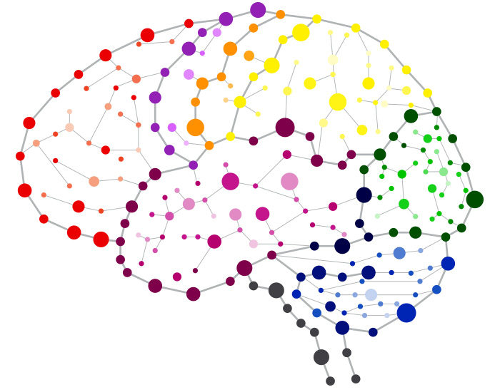 Pioneering neurologist explores the mind’s mysteries - Outlook Magazine