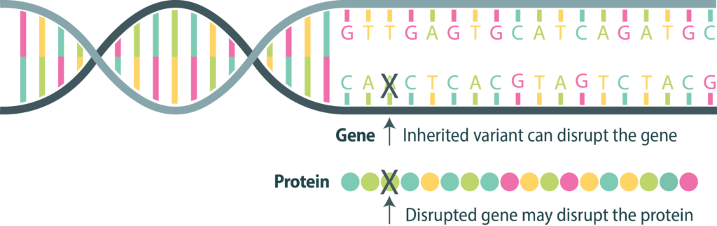 Calculating cancer risks - Outlook Magazine