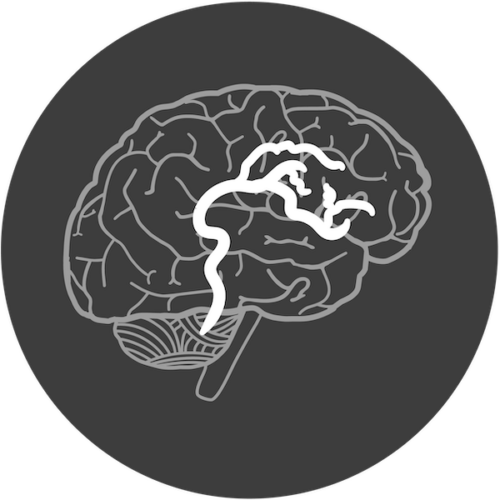 Fueling neurosurgery innovation - Outlook Magazine